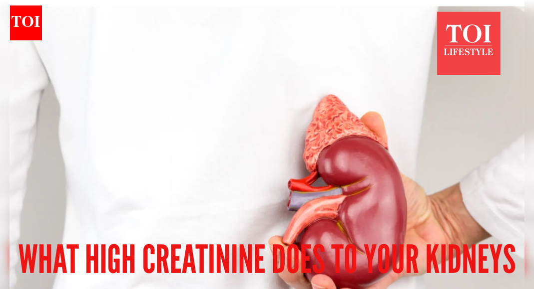 High Creatinine Affects: What happens when your creatinine levels are ...