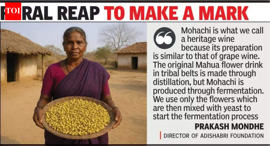 Gadchiroli’s tribal brew ‘mahua’ turns into classic wine, to make debut ...