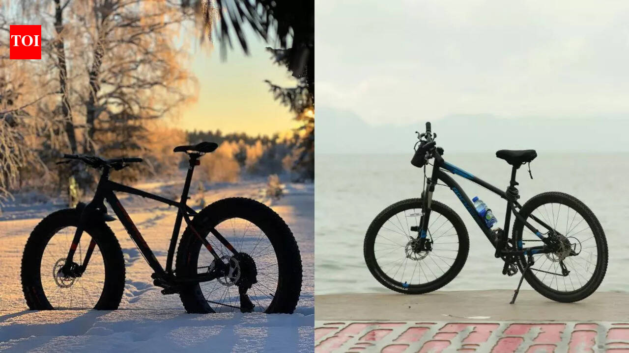 Fat Bike vs Gear Cycle: The Only Comparison You Need Before Buying ...