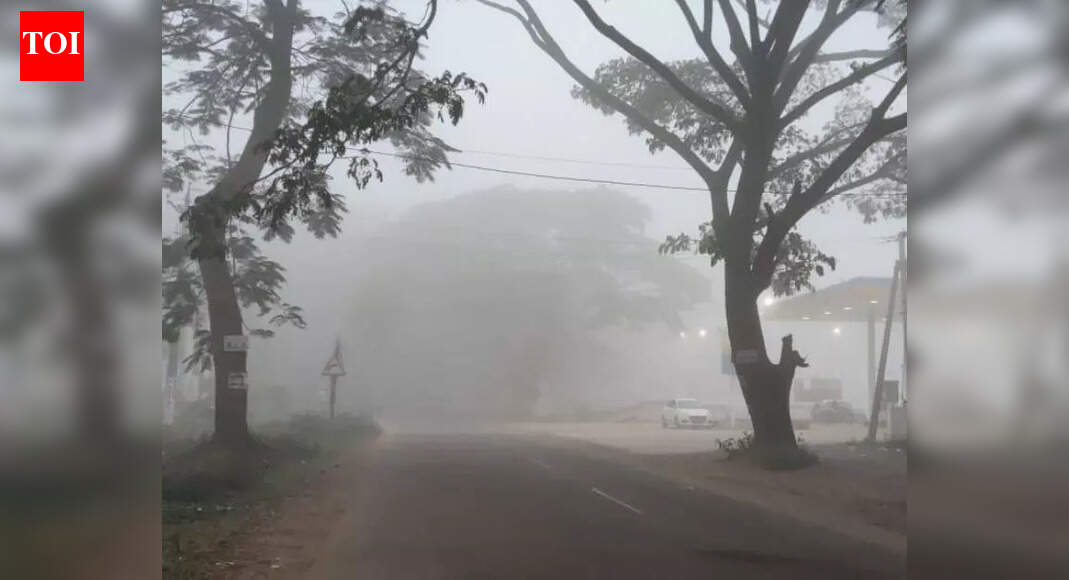 Nashik city logs season’s coldest morning at 8.1°C; Niphad shivers at 6 ...