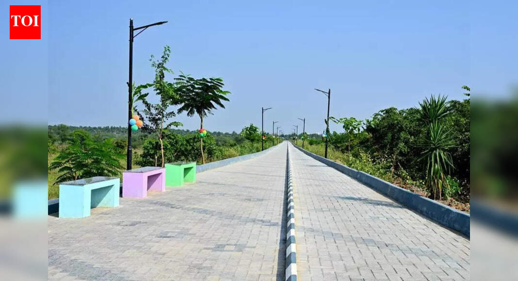 Coimbatore’s Chinnavedampatti lake gets walking, cycling track ...