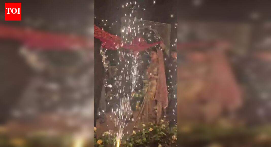 Son of Pt Tanmoy and Bonnea Bose, Shiladitya took his vows with Sevina ...