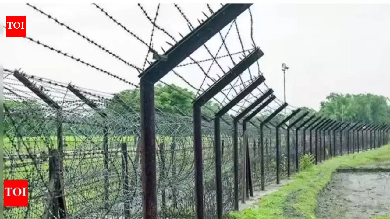 Indo-Bangladesh border records highest infiltration cases in 2025: Govt ...