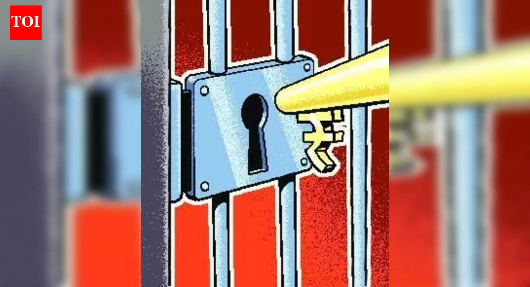 Accused escapes police custody by scaling court wall in Hisar ...
