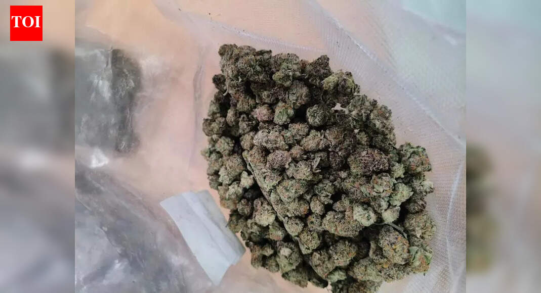 Weed from Thailand worth Rs 1 cr intercepted at foreign post office ...