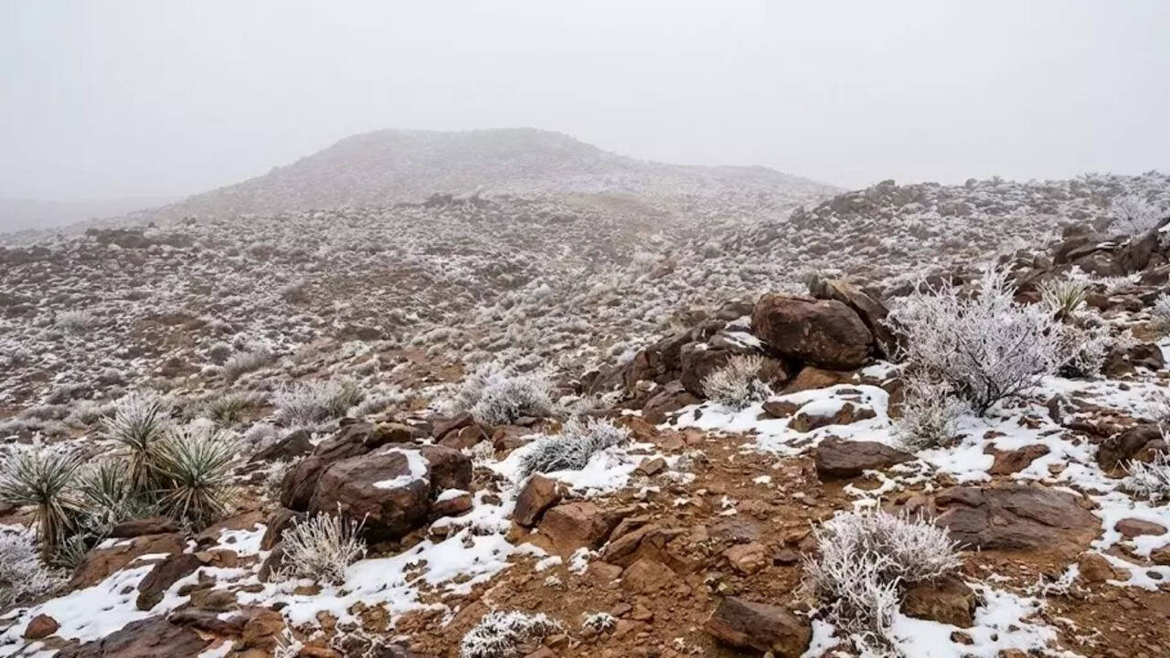 Saudi Arabia Snow: Saudi Arabia records rare snowfall in Tabuk and Hail ...