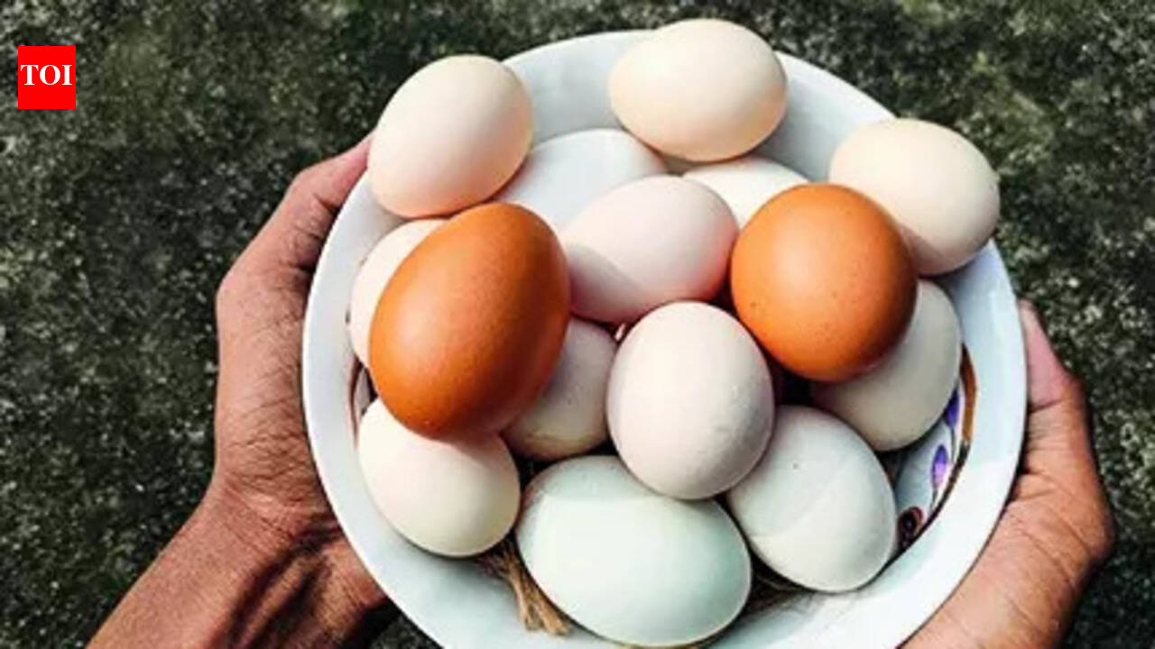 Eggs in India pose no cancer risk, says food safety regulator - The ...