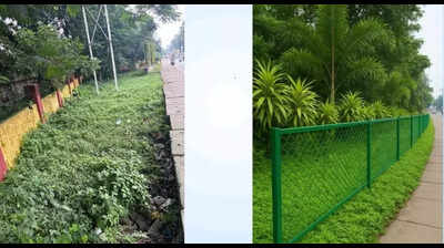 RMC to develop 24 green patches in city next year | Ranchi News - The ...