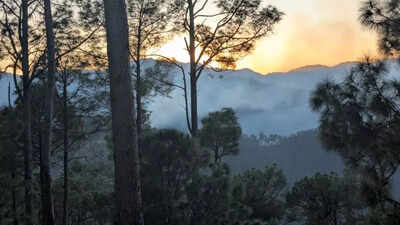 With 1,900 winter forest fire warningssince Nov, U’khand tops list in ...