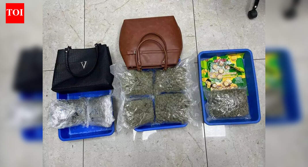 Woman from Bangkok held with Rs 3.11 crore ganja at Surat airport ...