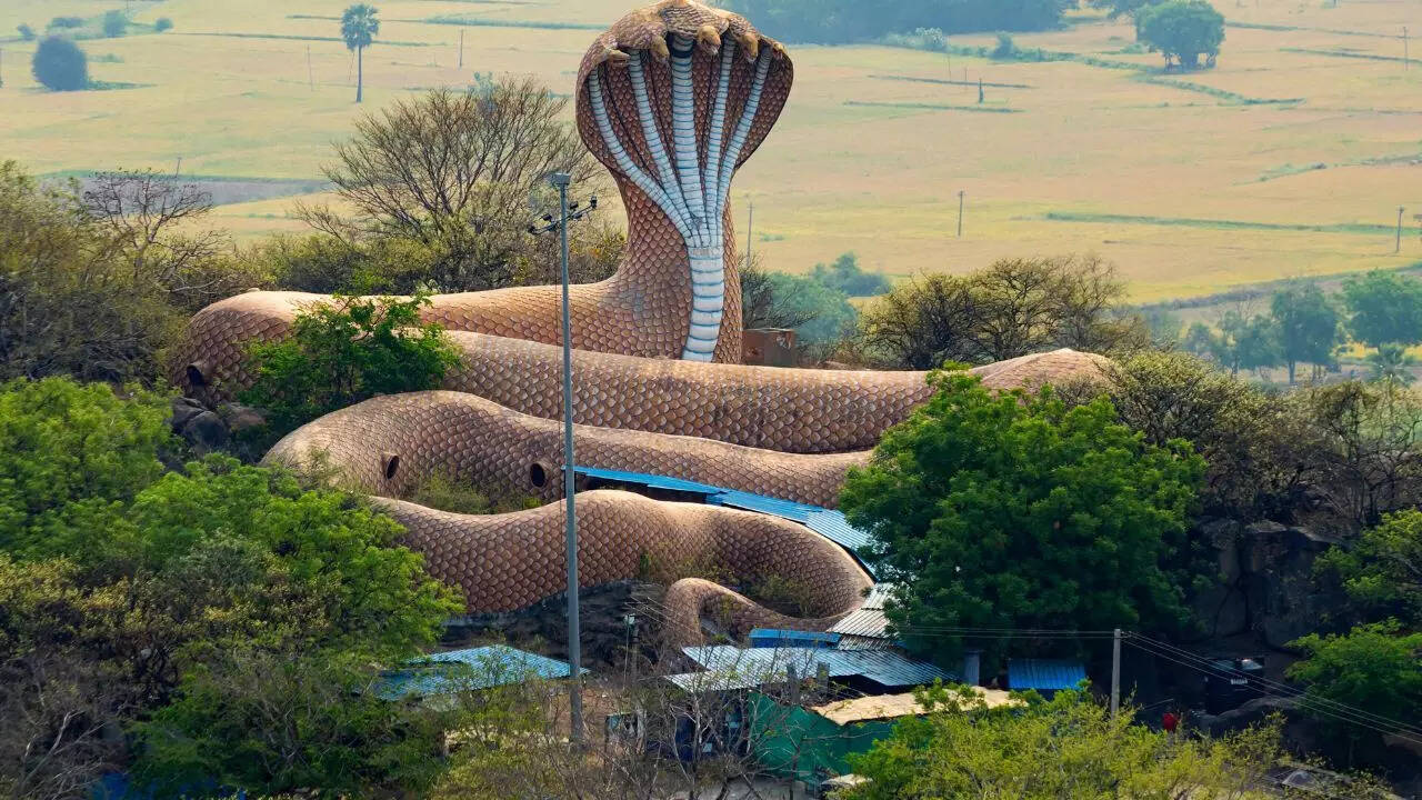 Prehistoric Snake Found In India