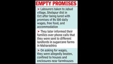 Pratapgarh Police Rescue 53 Tribal Labourers Held Captive in ...