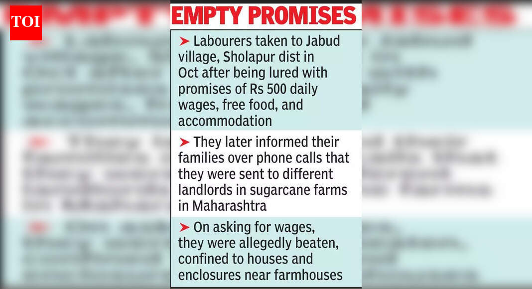 Pratapgarh Police Rescue 53 Tribal Labourers Held Captive in ...