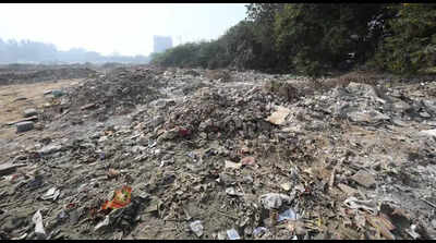 Gurgaon civic body orders round-the-clock vigil against illegal waste ...