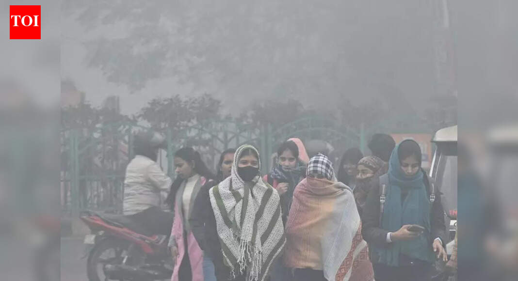 Fog wraps city in morning, day turns colder | Lucknow News - The Times ...