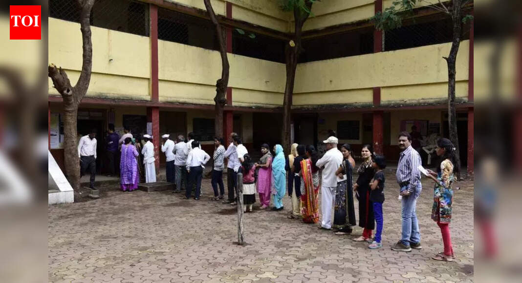 Former BJP corporator in judicial custody in murder case allowed to ...