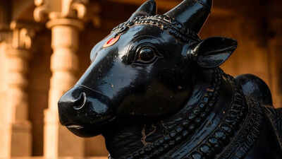 These animal statue you can bring home in the year 2026 for money - The ...