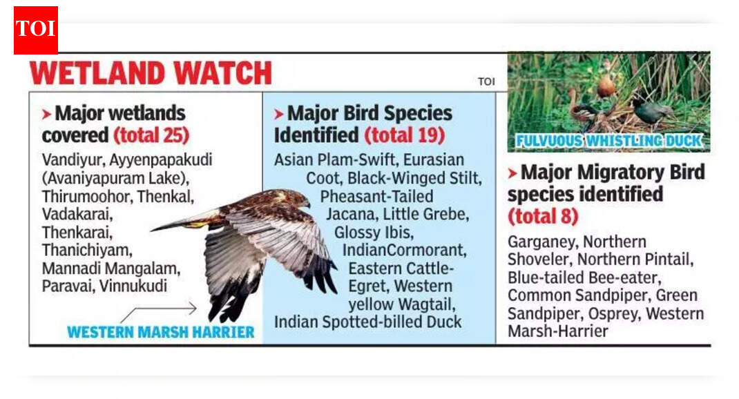Nearly 200 join synchronised bird census across Madurai wetlands ...
