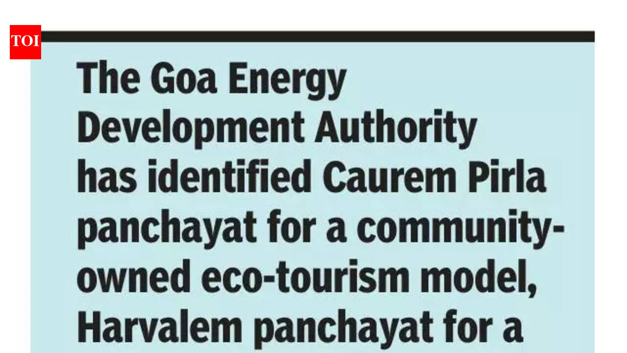 Goa govt to focus on energy efficiency for sustainable development in 3 ...