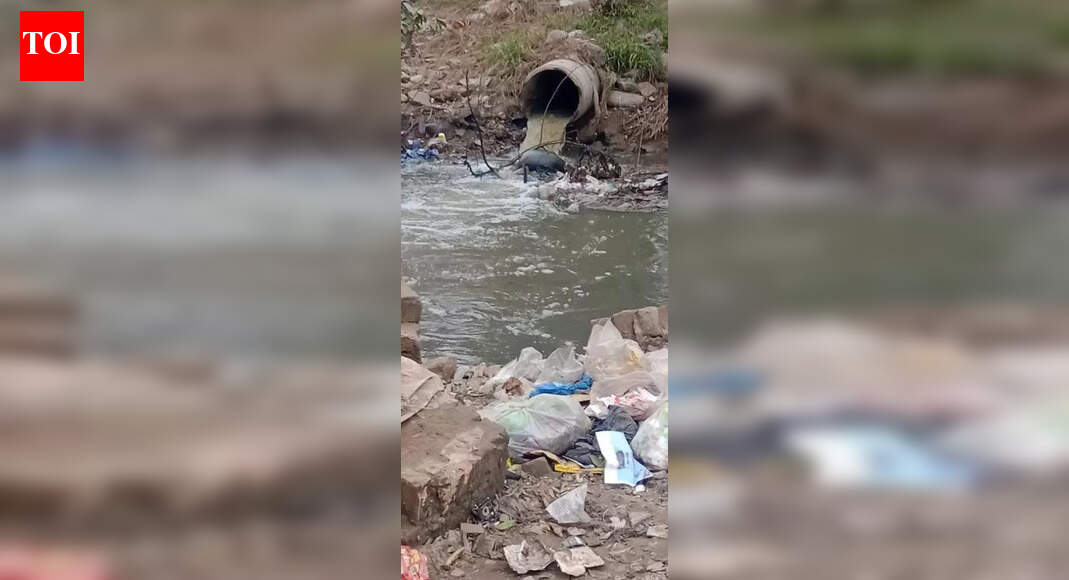 Untreated sewage in seasonal rivulet: Plaint filed with Pb CM ...