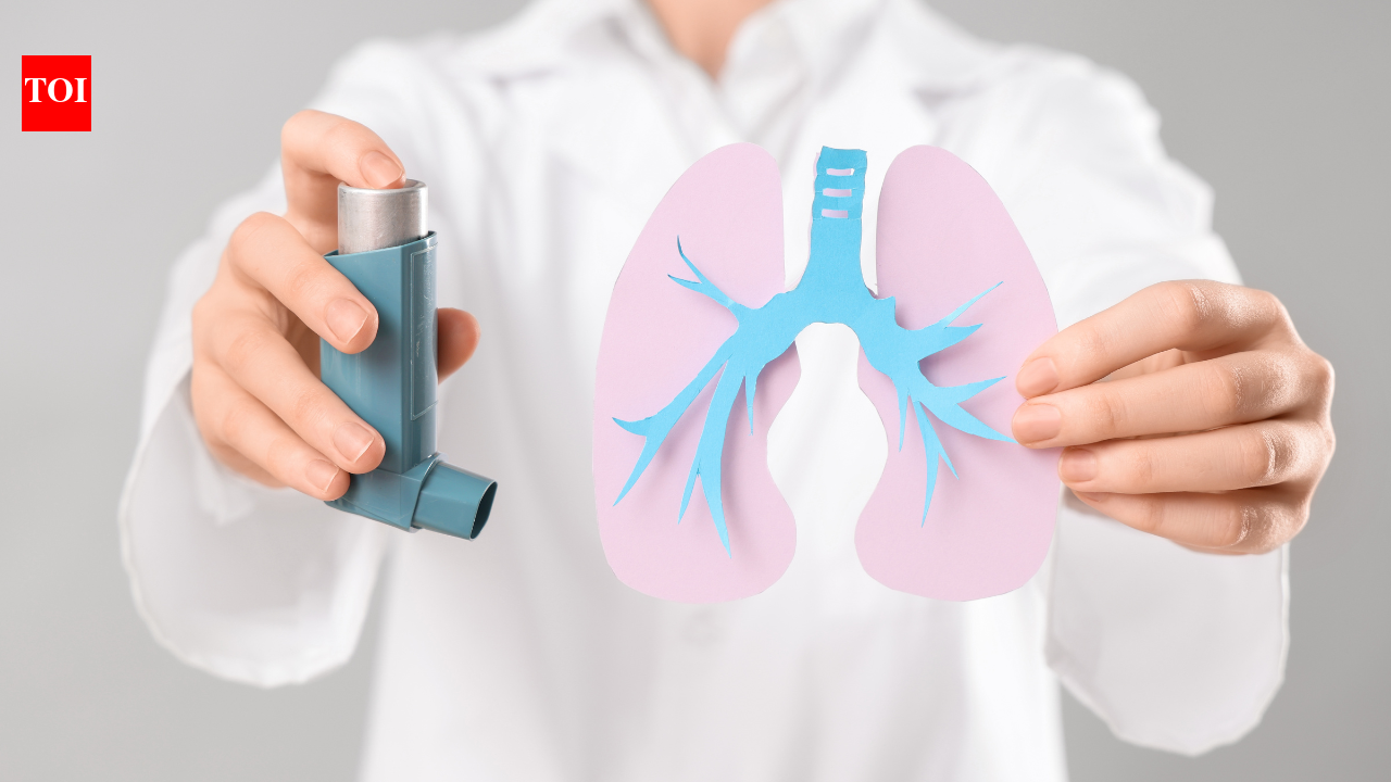 Asthma vs bronchitis: Key differences in symptoms and treatment methods