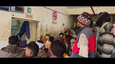 Buffalo dies of dog bite, over 200 UP villagers whohad ‘raita’ made ...