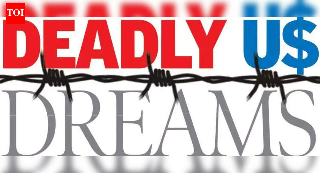 Guj man self-deports on fake passport, held at IGIA | Ahmedabad News ...