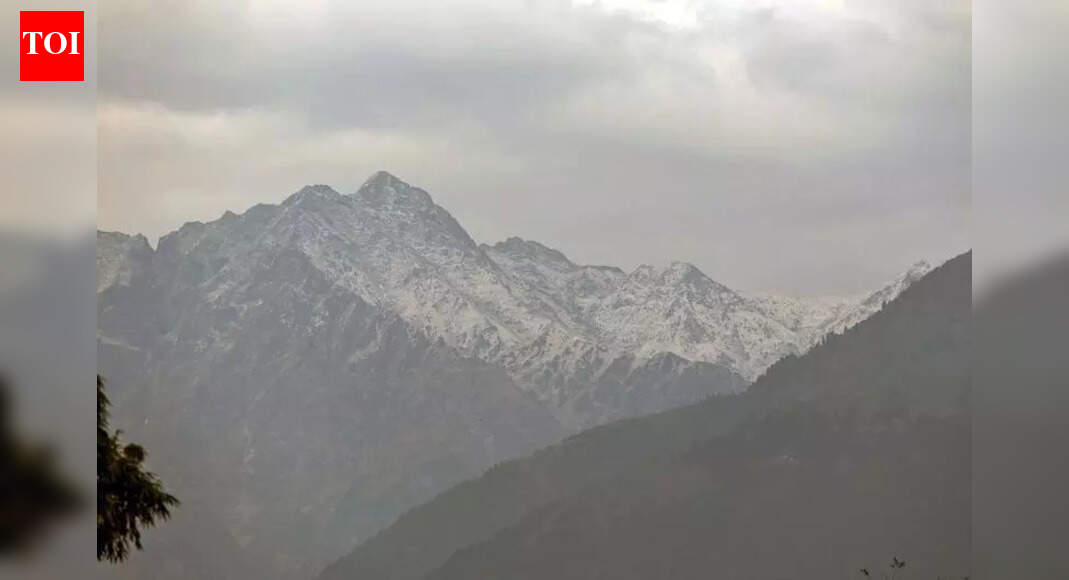Light snowfall continues in Himachal; avalanche strikes near Sissu ...