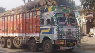 Concern over tree felling for Asharodi-Jhajra bypass | Dehradun News ...