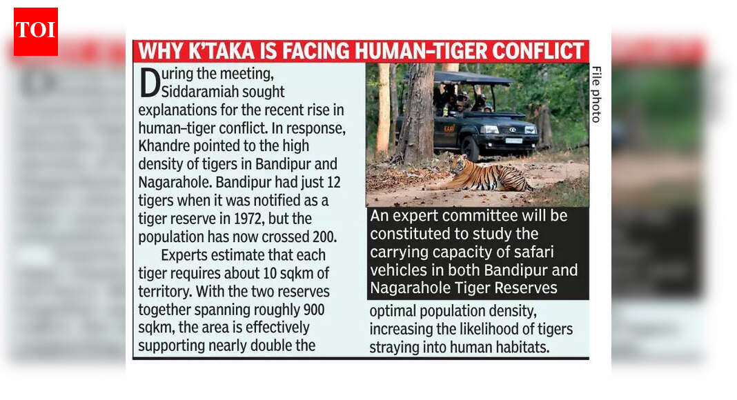 Post 2 months of ban, tiger safari may reopen in phases in Bandipur ...