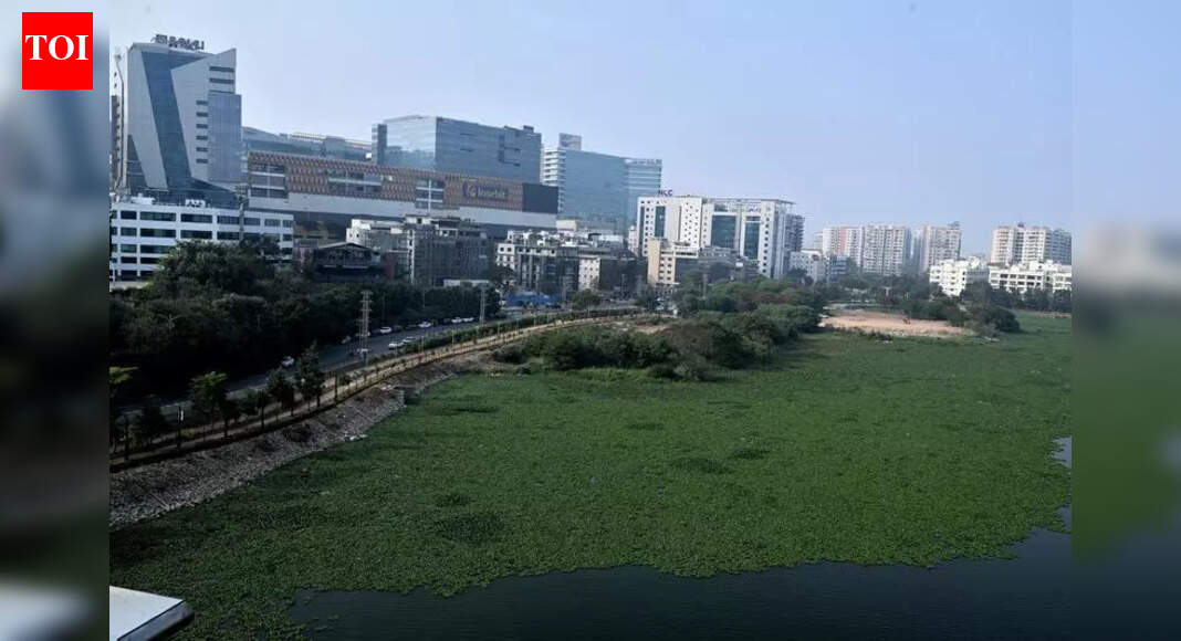 Filth & encroachment: Water quality of 185 lakes across Hyd deemed poor ...