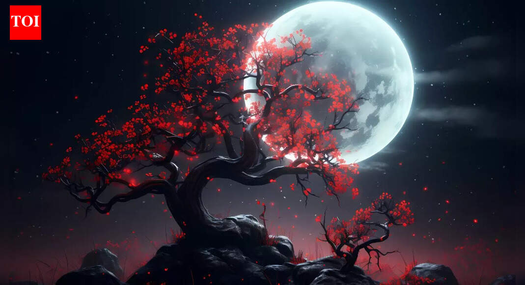 January 3, 2026 Full Moon: Powerful Affirmations For Your Birth Date