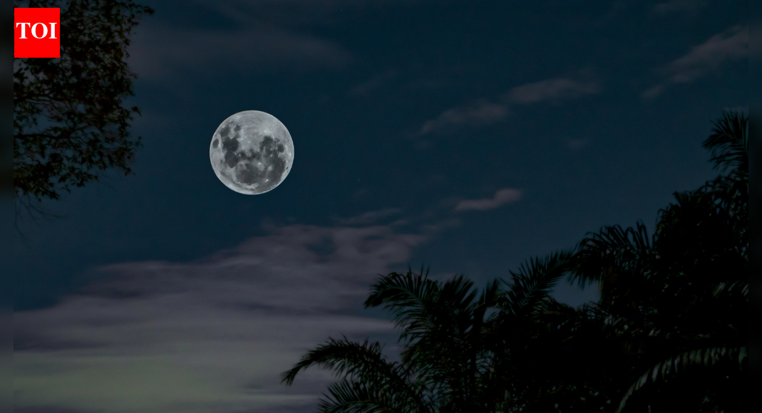 10 powerful things to do after the first full moon for a great start to ...