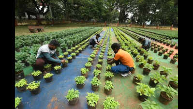 MCC to hand over 63 parks to women SHGs for maintenance under Amrith ...