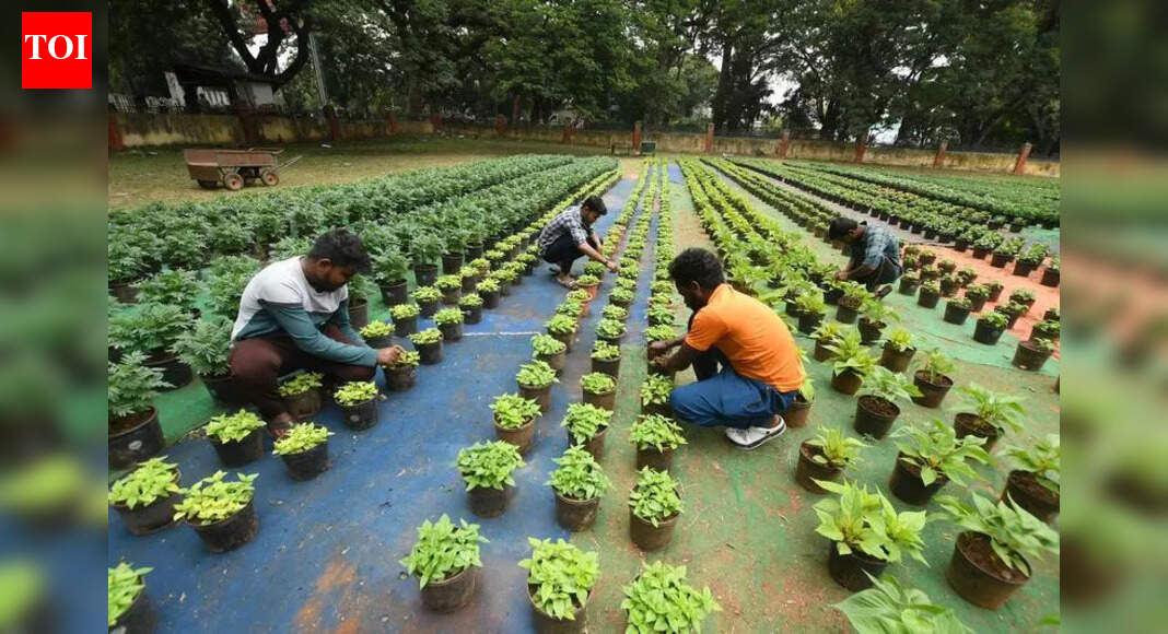 MCC to hand over 63 parks to women SHGs for maintenance under Amrith ...