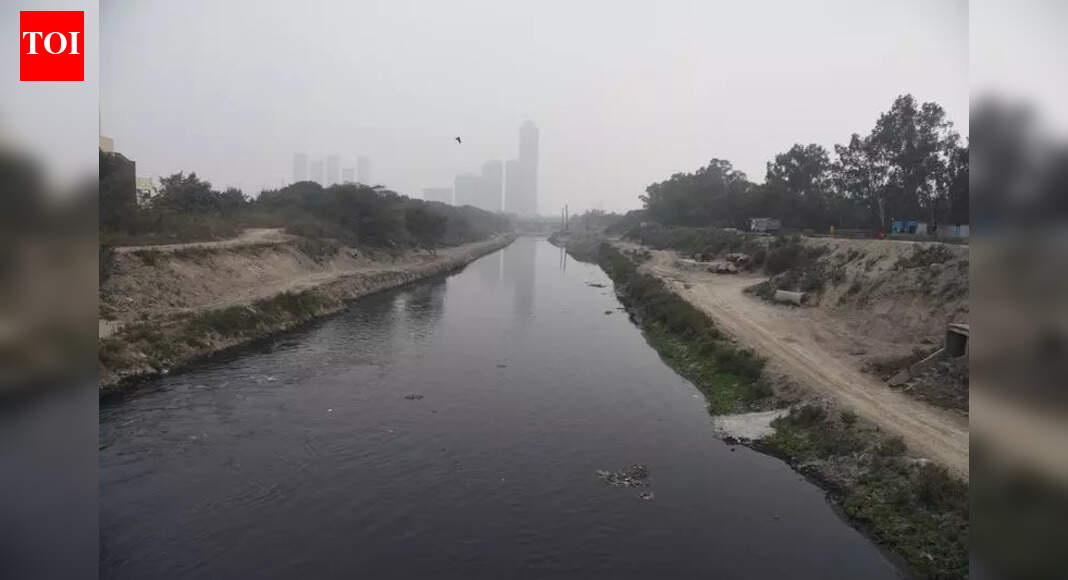 Noida board approves plan to treat drain water flowing into Yamuna ...