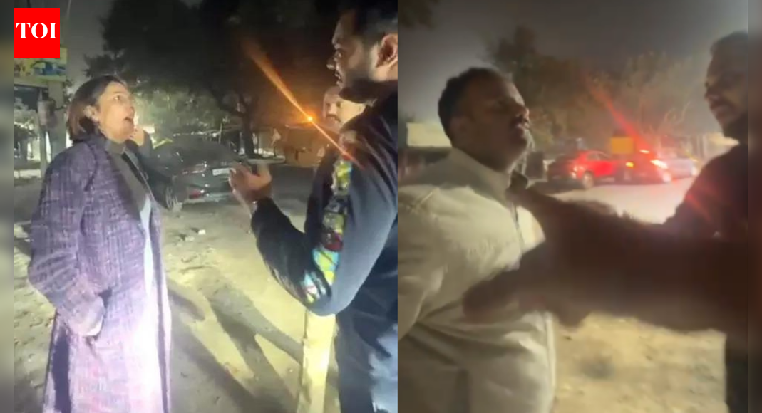 ‘I am Jat, will buy 50 Thars’: 2 sub-inspectors, ‘lawyer’ woman drink ...