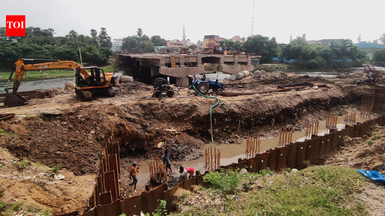 In pics | Rs 44 crore Nolambur Cooum bridge in Chennai set to open in ...