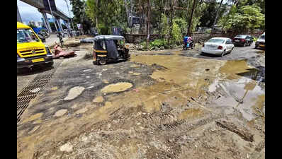 Techies in Hinjewadi demand world-class infra in IT park ahead of ...