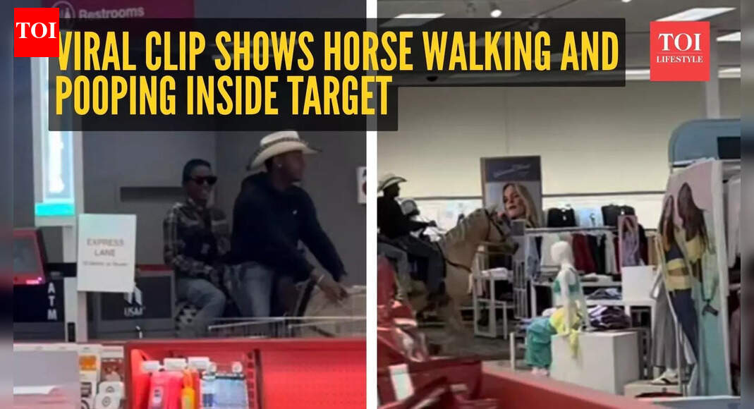 “Why can’t my emotional support horse come in?” Viral clip shows horse ...