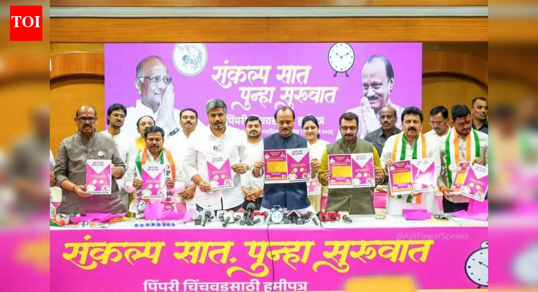 Property tax waiver for small homes, regular water supply among key ...