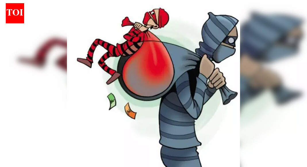 Alert girl foils robbery attempt at her Parra home | Goa News - The ...