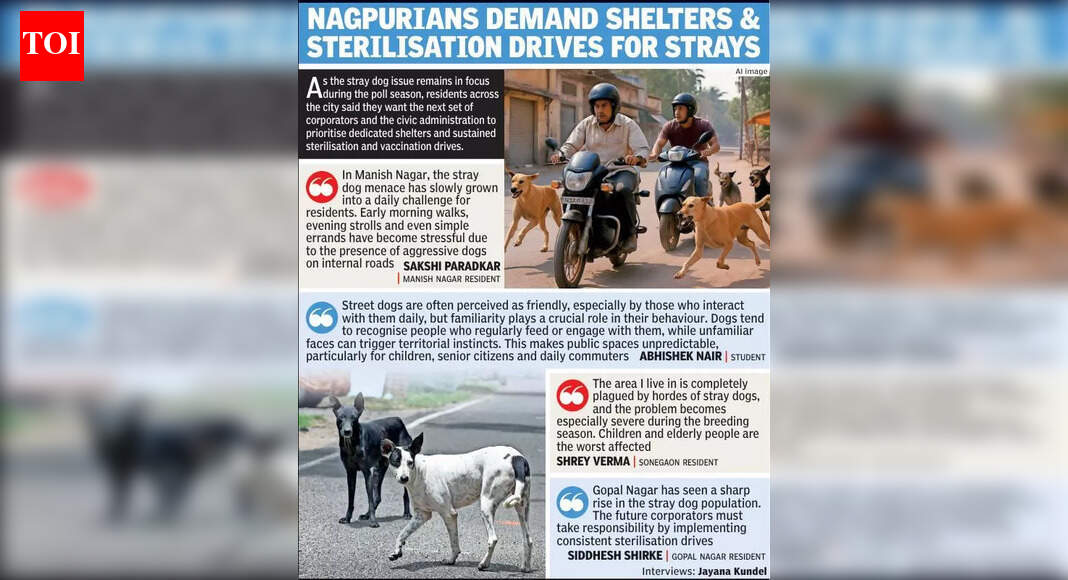 Stray dog menace turns key poll plank as BJP, Congress trade charges ...