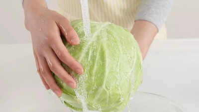 How to clean cabbage properly: The simple hacks that remove worms and ...