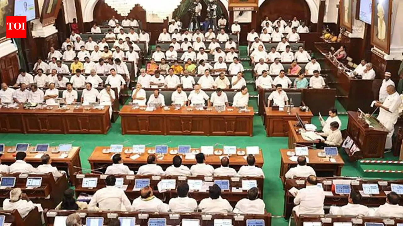 Tamil Nadu Assembly Elections 2026: Alliances, numbers and the battle ...
