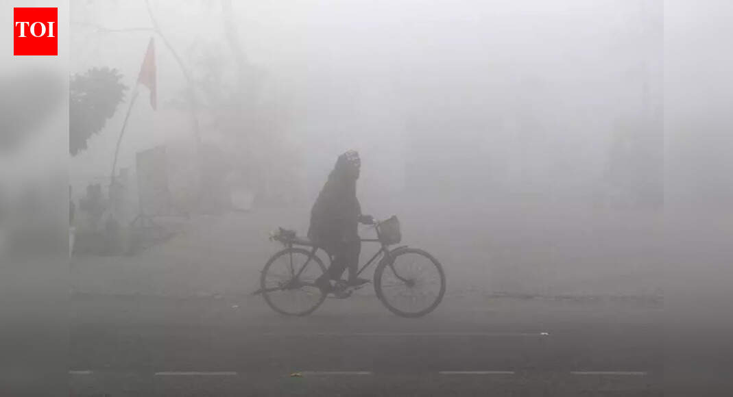 Lack of reflectors on bicycles jeopardizes lives amid dense fog ...