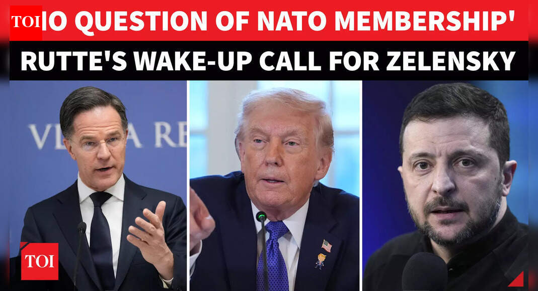 'No Membership, Decide On Territory': NATO's Shock Ultimatum To Ukraine ...