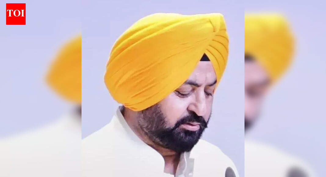 Master plans for Dera Baba Nanak, Nangal, Barnala, Nabha approved ...