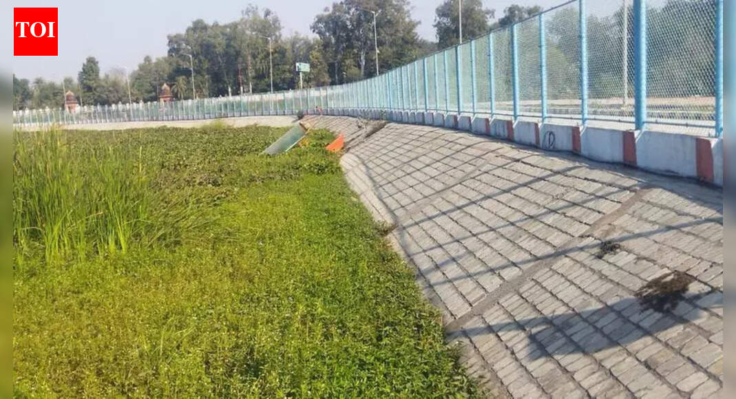 NGT orders panel to probe concretisation of Laxmi Tal | Kanpur News ...