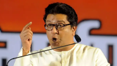Political row in Maharashtra: BJP brands Raj Thackeray anti-industry ...